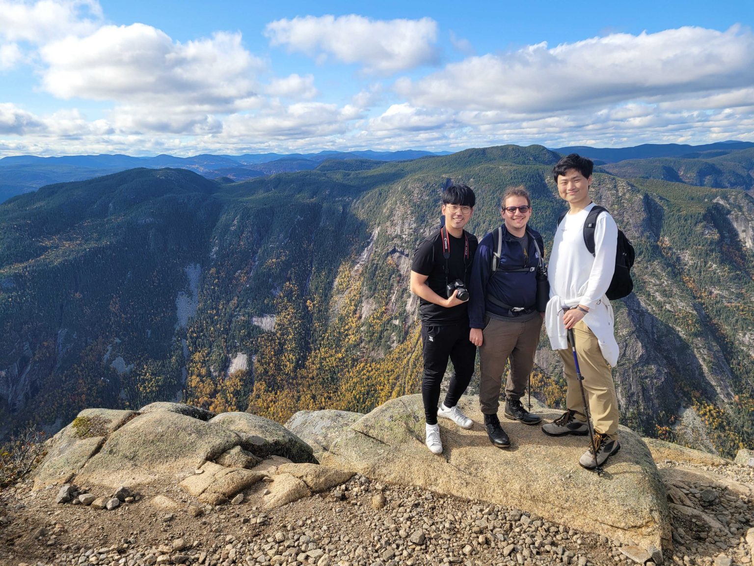 Team | Perepichka Group